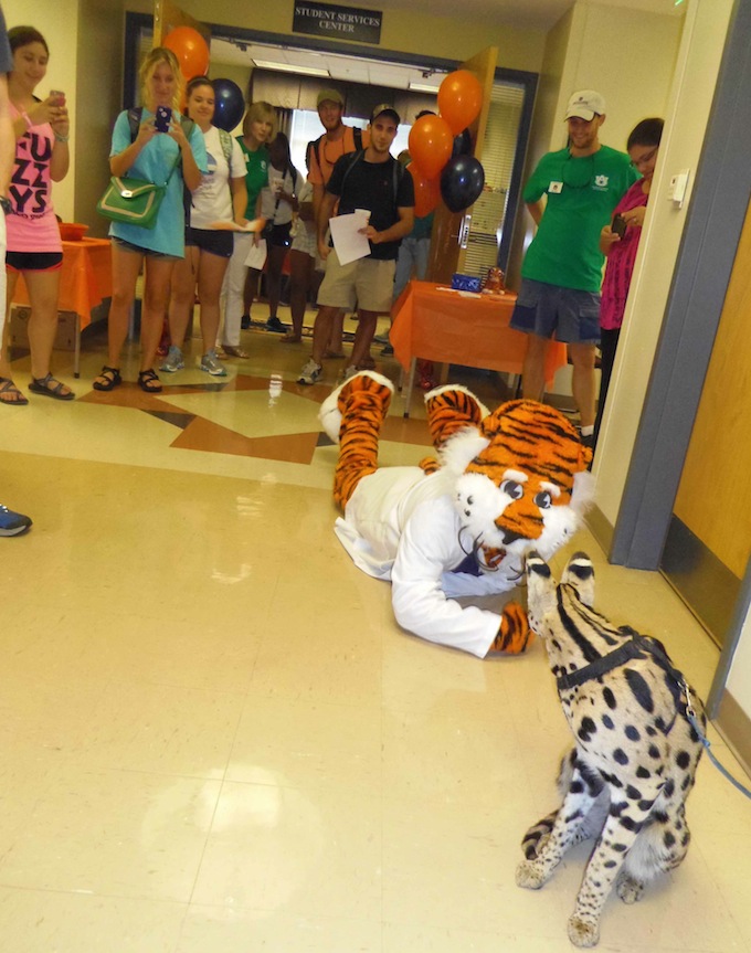 SCB hosts Wild Animal Safari at COSAM 2012 Open House