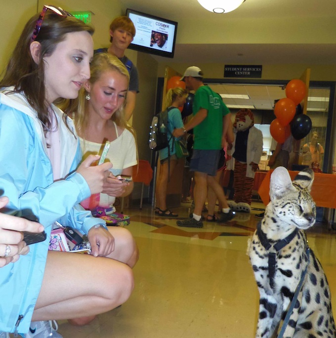 SCB hosts Wild Animal Safari at COSAM 2012 Open House