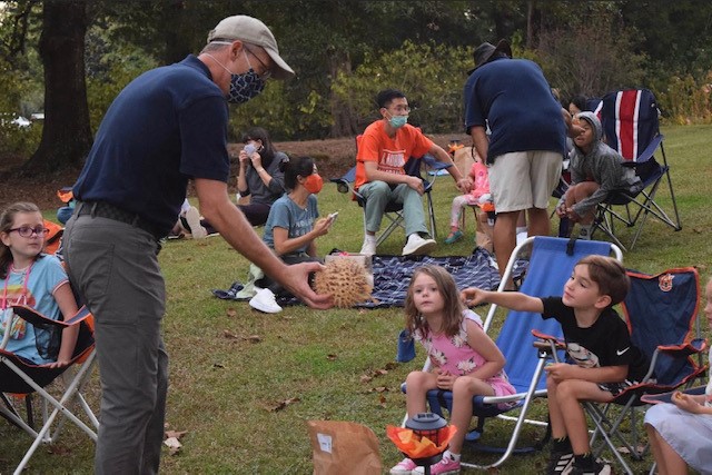 COSAM Office of Outreach continues to offer science-centered family fun ...