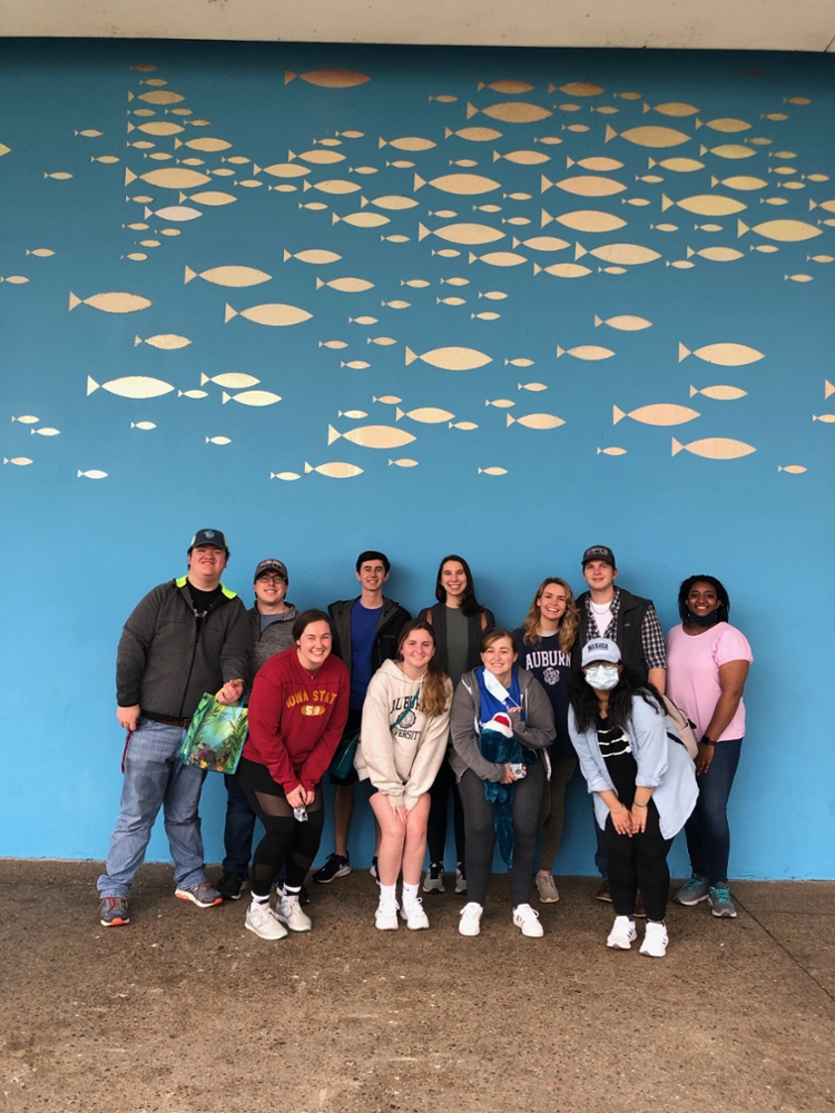 Auburn University's Marine Biology Club