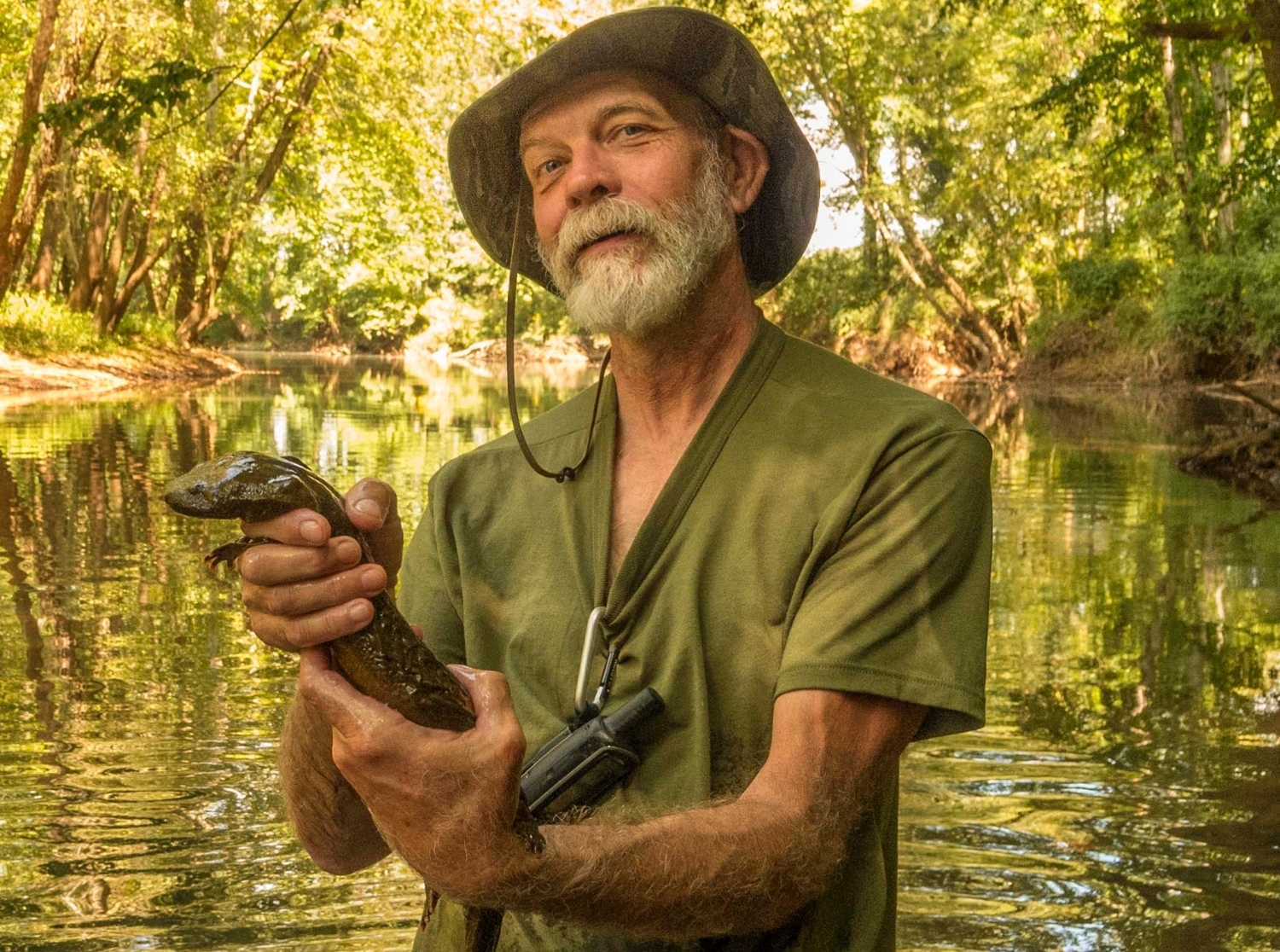 The long, hard road for Hellbenders