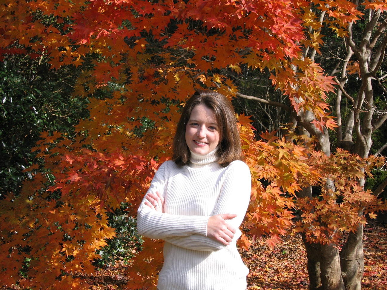 October 2011, e-Journey