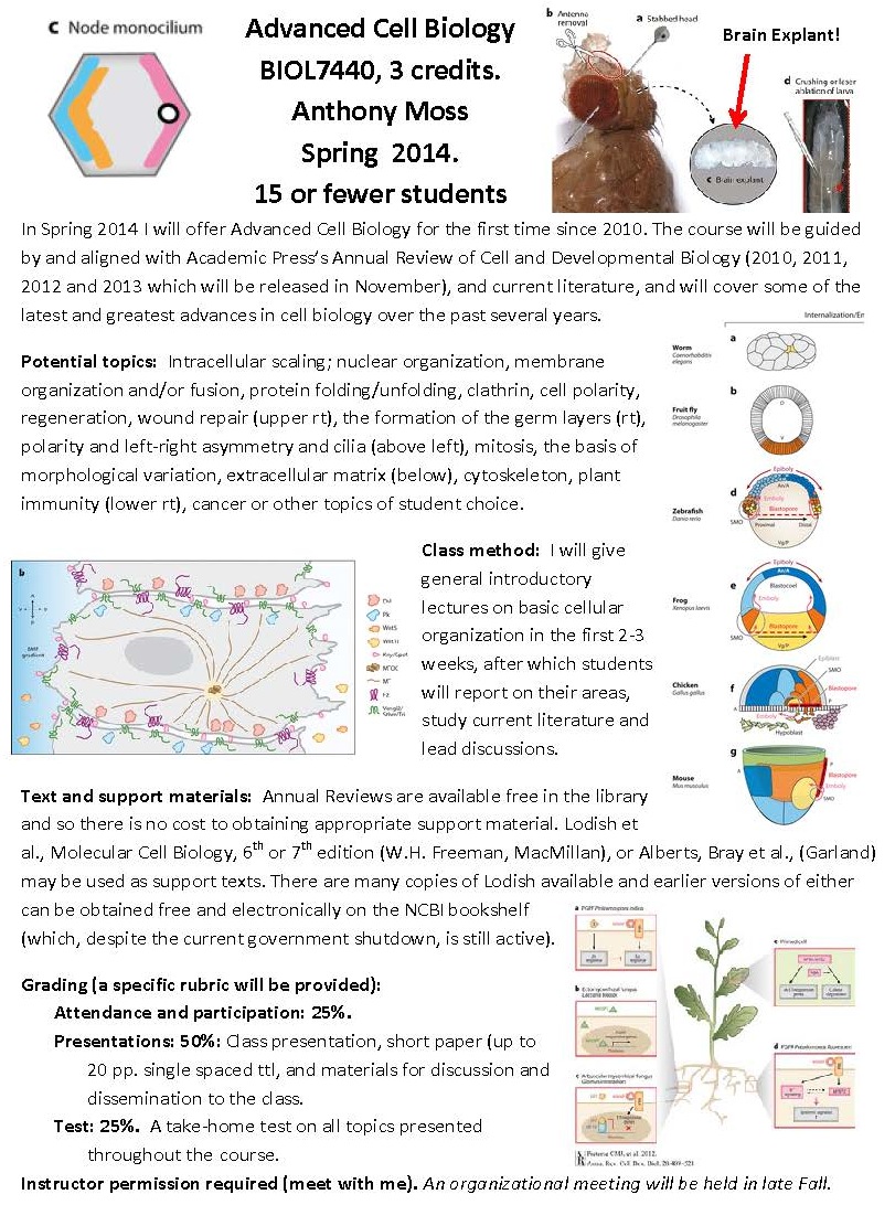 Advanced Cell Biology (BIOL7440) to be offered in Spring 2014
