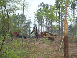 Solon Dixon Forestry Education Center
