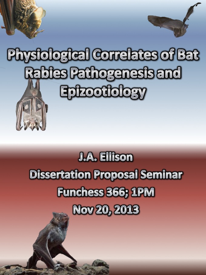 dbs_ellison_defense_flyer.jpg