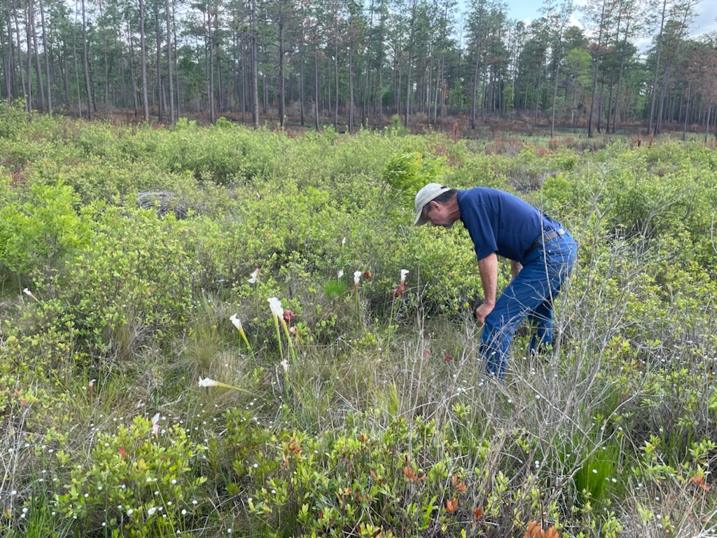 Spotlight on the Alabama Natural Heritage Program: keeping our state’s ...